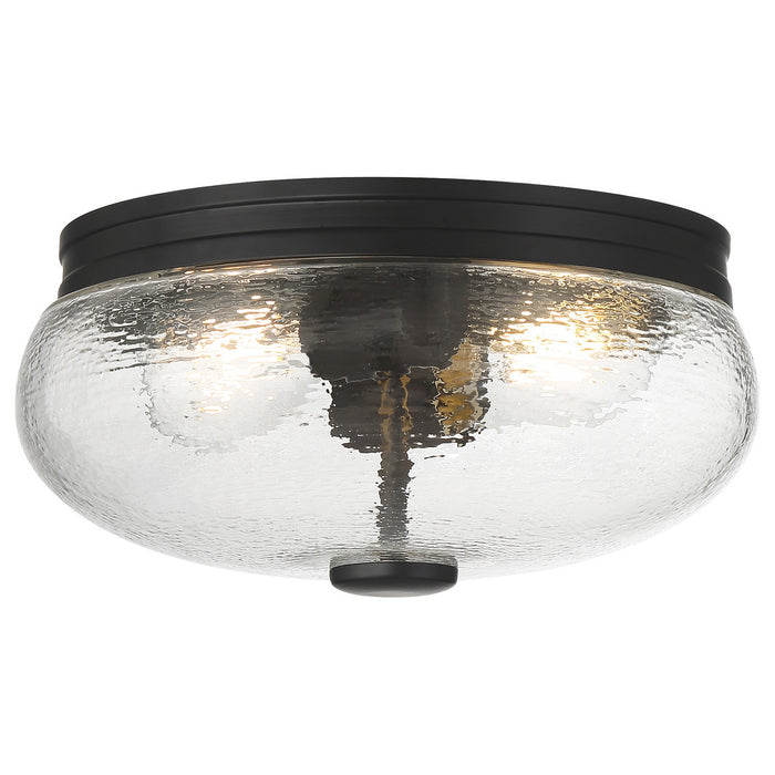 Access - 63019-MBL/CLR - Two Light Flush Mount - Lindsay - Matte Black ...