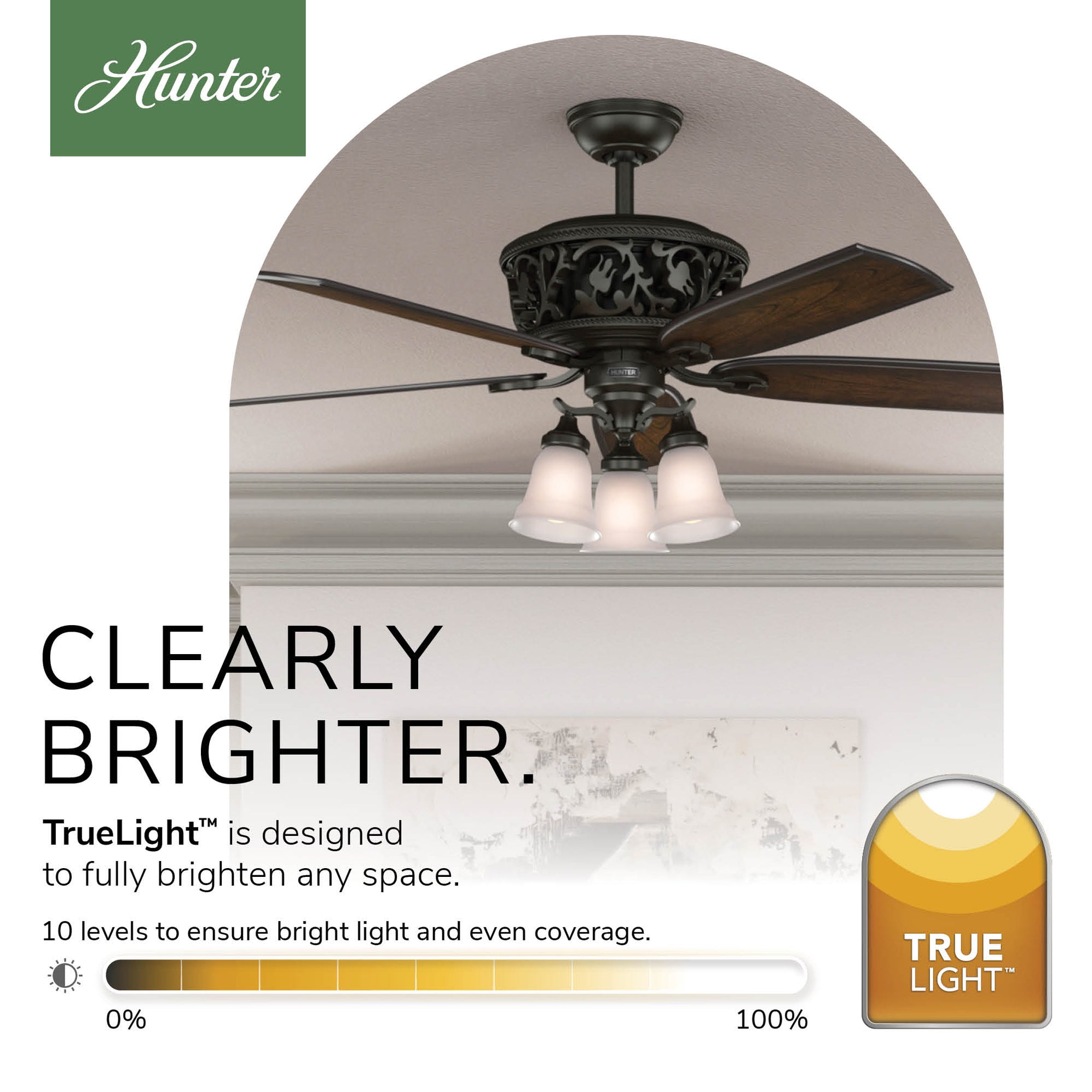 Hunter - 59546 - 54 Inches Ceiling Fan - Promenade - Brittany Bronze ...