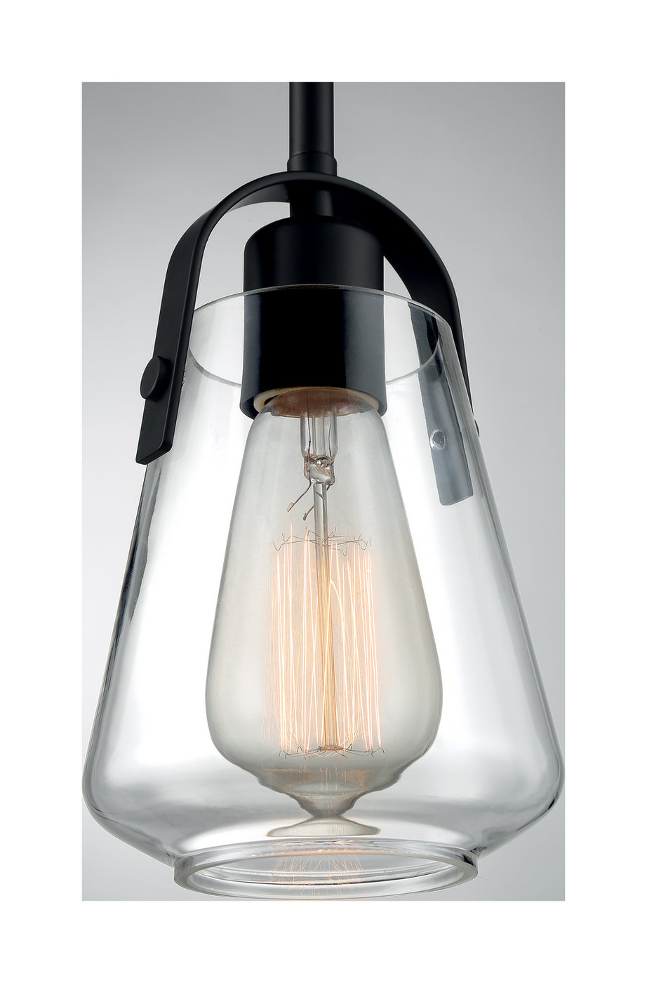 Nuvo Lighting - 60-7106 - One Light Mini Pendant - Skybridge - Matte ...