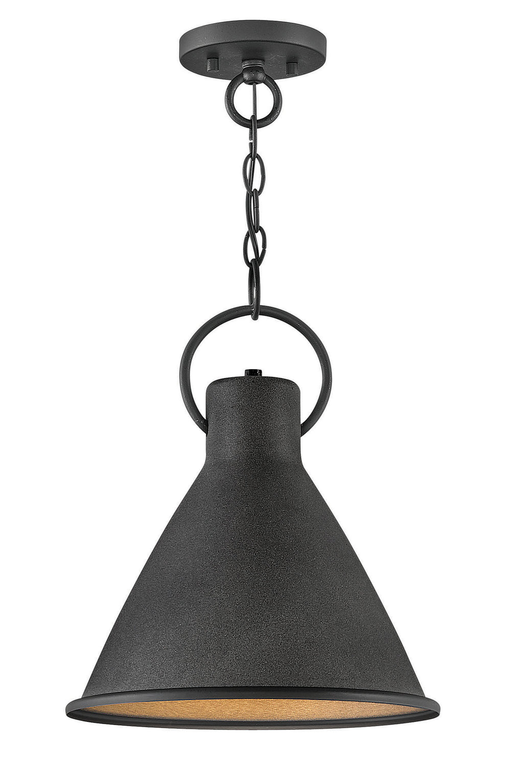 Hinkley - 3557DZ - One Light Pendant - Winnie - Aged Zinc — Lighting ...